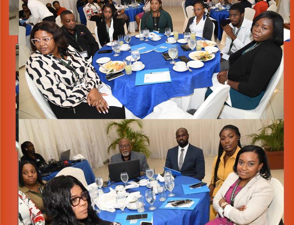 Revolutionary IVIS to be rolled out next month – IAJ